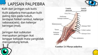 Tentiran PPT Anatomi dan Penyakit Palpebra.pptx