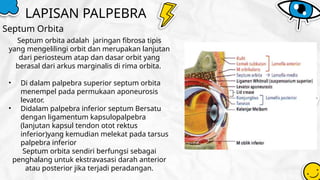 Tentiran PPT Anatomi dan Penyakit Palpebra.pptx