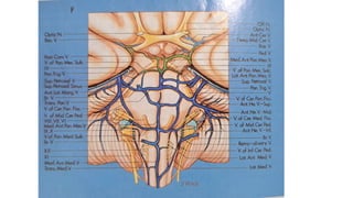 anatomical points about tentorial incisura | PDF