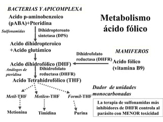 Teo 15 Antiparasitarios y resistencia.pdf