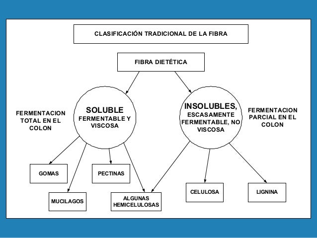 Teo 7 fibra dietaria