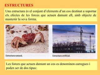 ESTRUCTURES | PPT