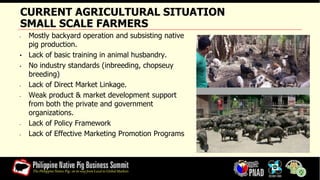 Science-based native pig production to meet quality requirements of ...