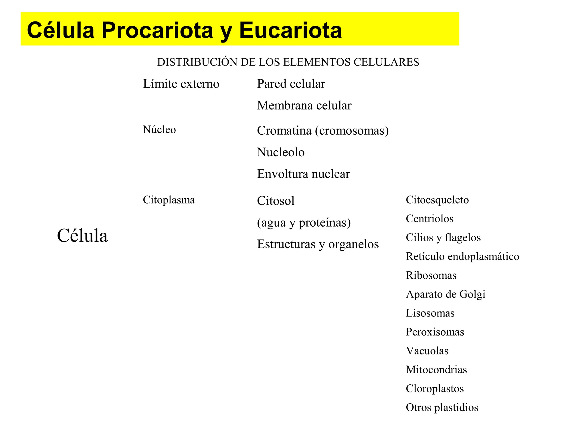 Teoría Celular Ppt