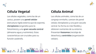 Teora Celular y sus postulados, organielos y tipos de celulas. | PPTX