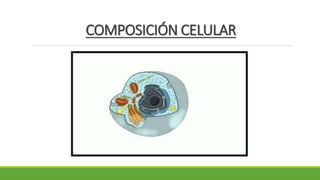 TEORÍA CELULAR | PPTX