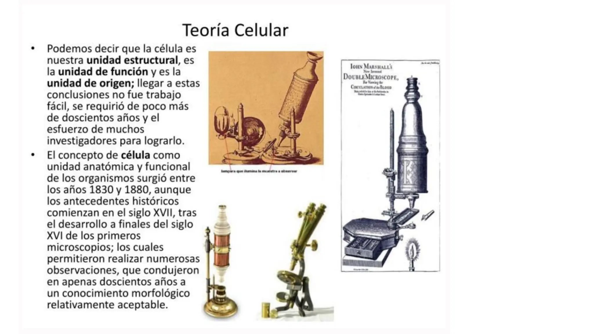 TEORÍA CELULAR Y TIPOS DE CELULAS 3°.pdf