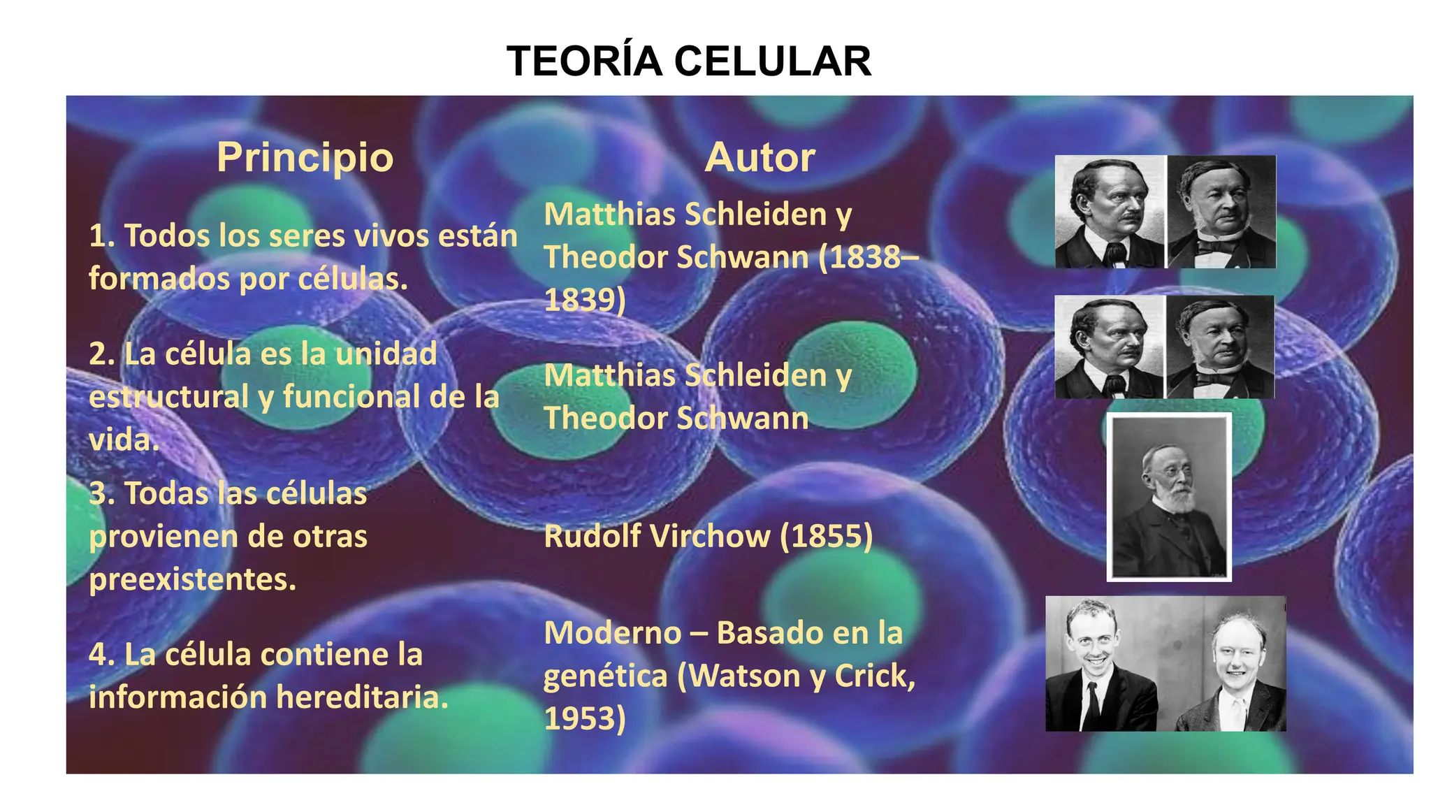 TEORÍA CELULAR Y TIPOS DE CELULAS 3°.pdf