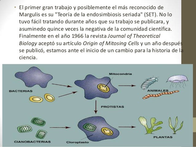 Teoría de la endosimbiosis