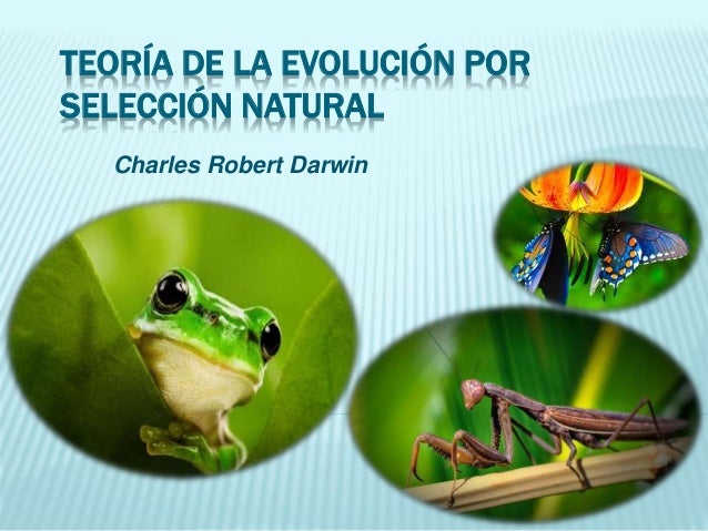 Teoría de la evolución por selección natural