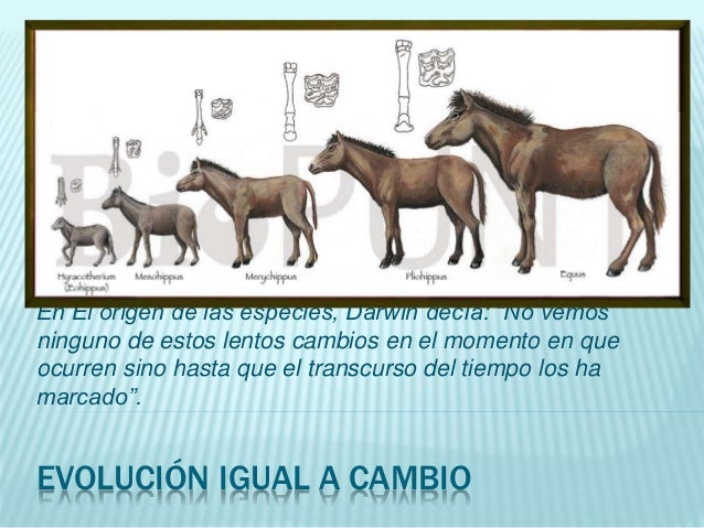 Teoría de la evolución por selección natural