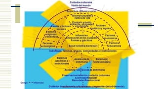 Teoría de Leininger | PPTX