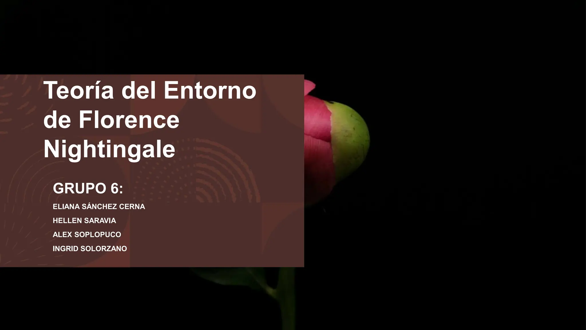 Teoría Del Entorno De Florence Nightingale Pptx