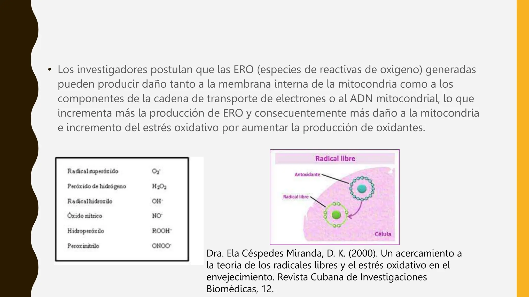 TEORÍA DE LOS RADICALES LIBRES DE DENHAM HARMAN 2023.pptx