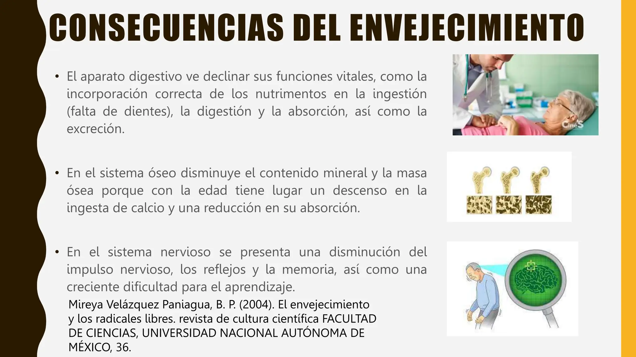 TEORÍA DE LOS RADICALES LIBRES DE DENHAM HARMAN 2023.pptx