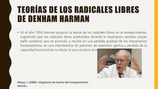TEORÍA DE LOS RADICALES LIBRES DE DENHAM HARMAN 2023.pptx