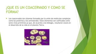 Teoría de Oparin TEORIA DE MENDEL DIAPOSITIVA.pptx