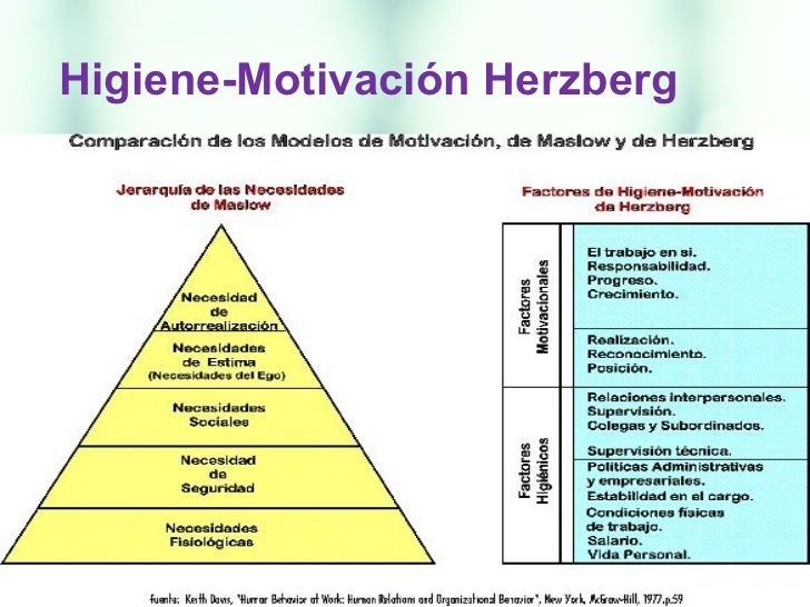Herzberg's Theory of Motivation and Hygiene: Keys to Workplace Success ...