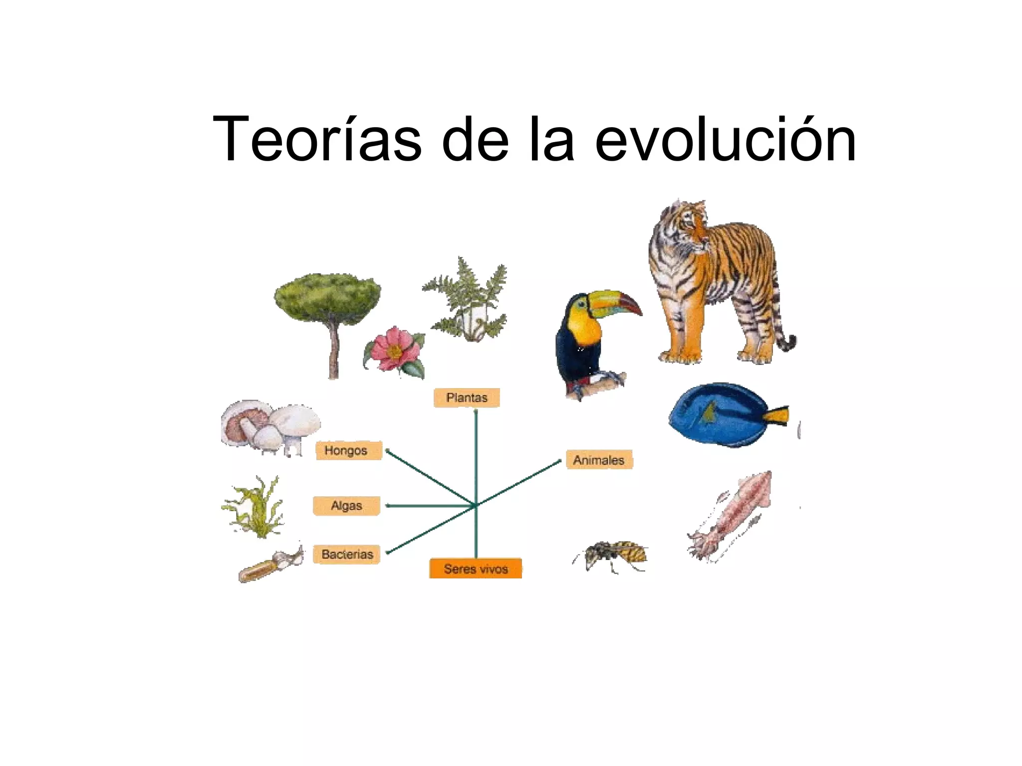 Teorías de la evolución | PPT