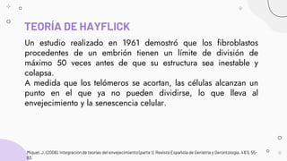 Teorías del envejecimiento Hayflick (1).pptx