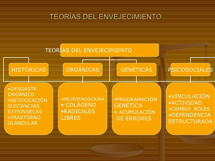 Teorías del envejecimiento