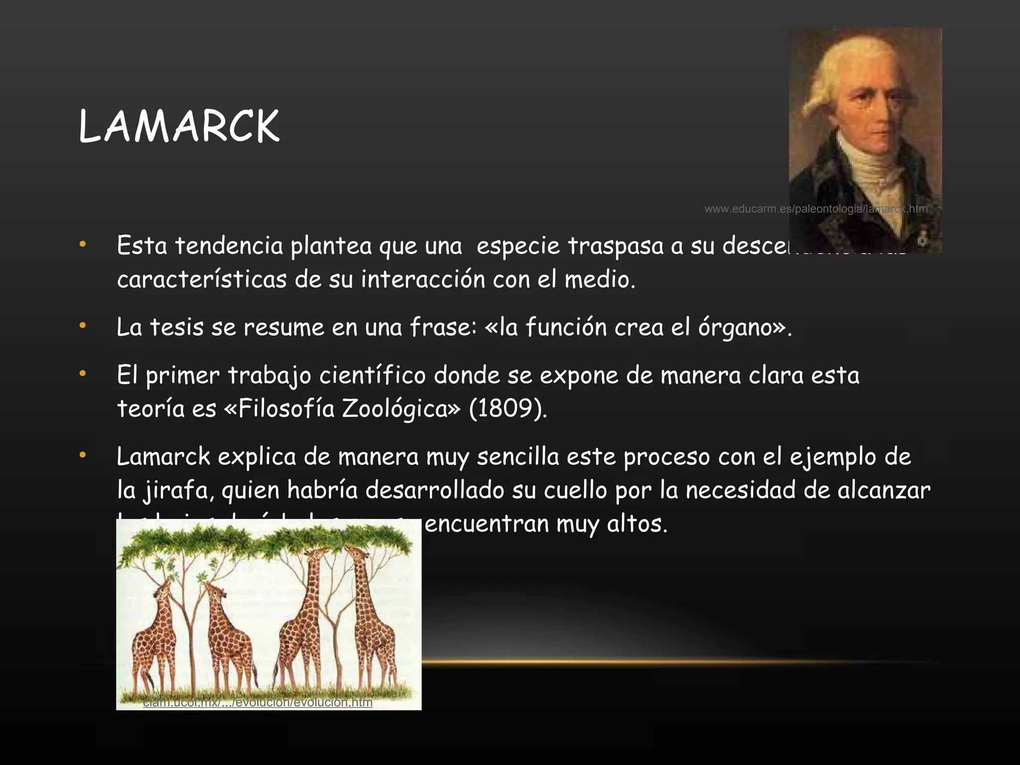 Teorías del origen del hombre | PPT