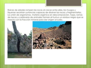 Teorías del origen de los suelos | PPTX