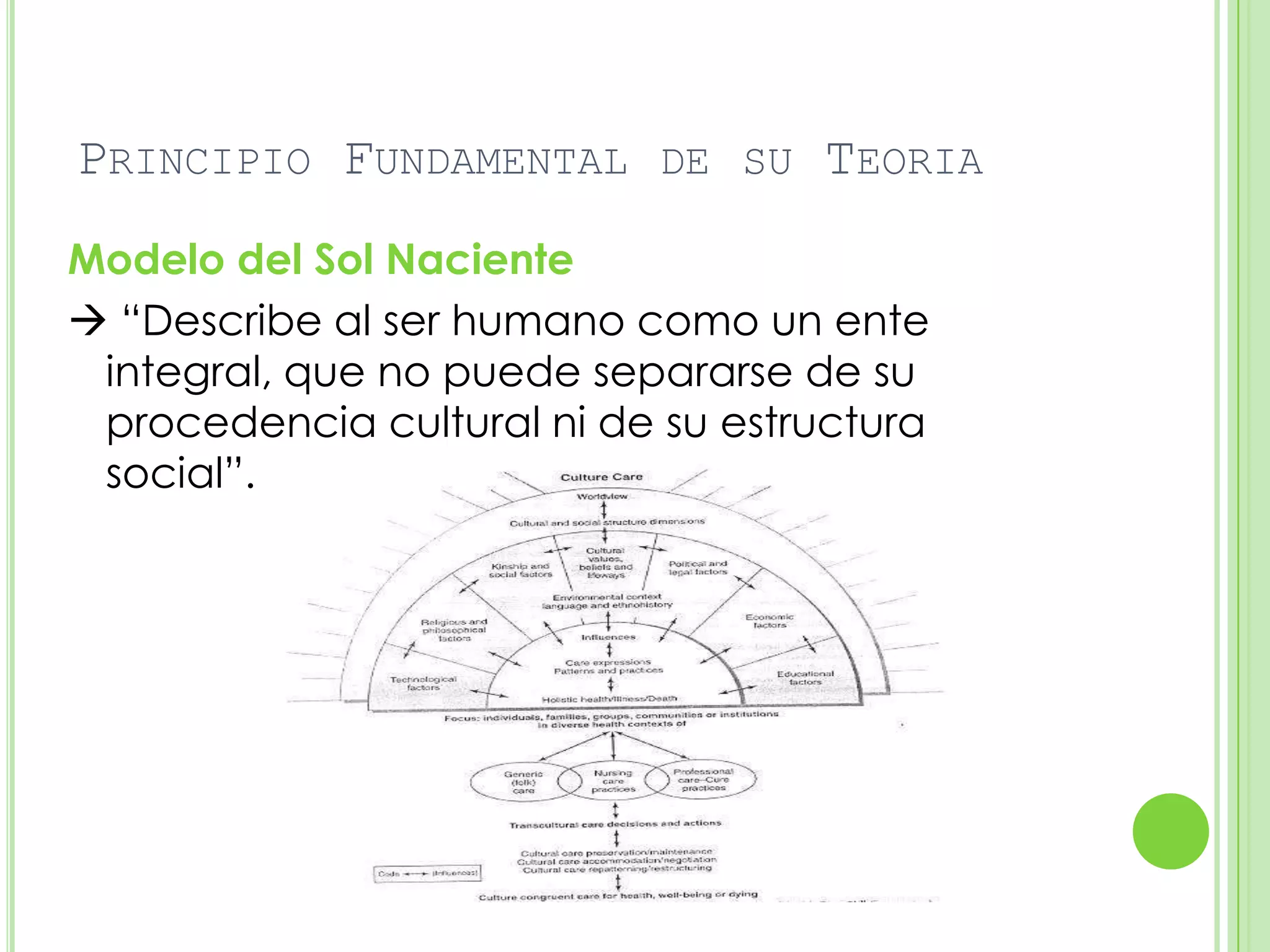 Teoría transcultural de madeleine leininger | PPTX