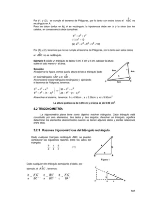 Teorema de pitágoras | PDF