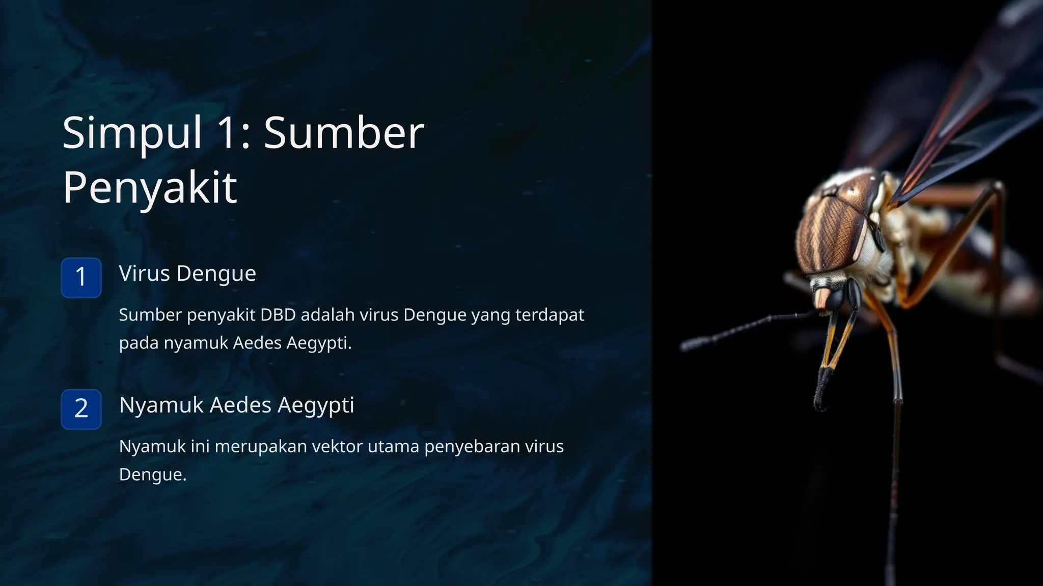 Teori-Simpul-Demam-Berdarah-Dengue-DBD.pptx