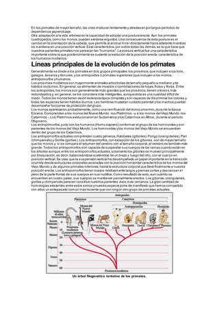 Teoria de-la-evolucion | DOCX