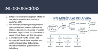 Teoría endosimbiótica | PPTX