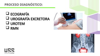 TEORIA - INFECCION URINARIA del organismo.pptx