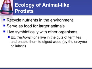 Teoria protists (1) | PPT