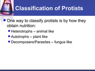 Teoria protists (1) | PPT