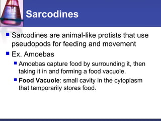 Teoria protists (1) | PPT