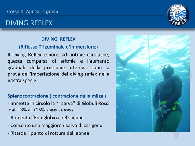 Teoria fisiologia FIPSAS 1 grado | PPT