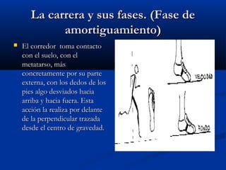 Teoria atletismo (carrera y salidas) | PPT