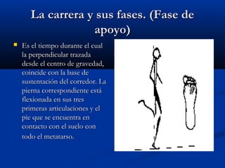 Teoria atletismo (carrera y salidas) | PPT