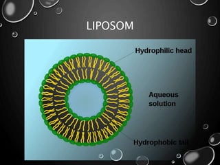 Teori Abiogenesis Modern (Evolusi Kimia) dan Evolusi Biologi | PPTX