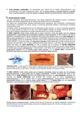 ANATOMIA DE LA CAVIDAD ORAL | DOC