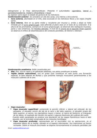 ANATOMIA DE LA CAVIDAD ORAL | DOC