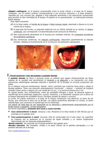 ANATOMIA DE LA CAVIDAD ORAL | DOC