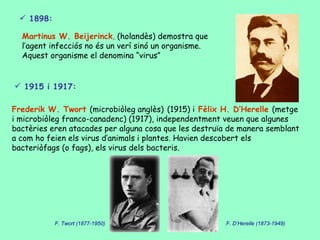 Teoria Cel.Lular I Virus | PPT