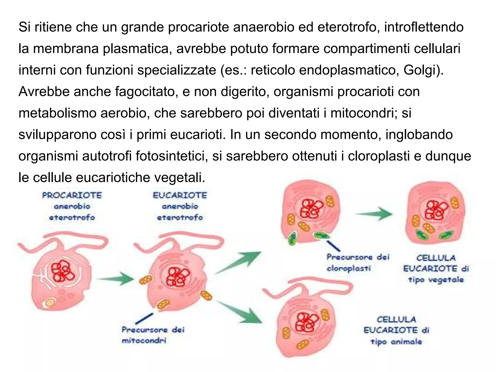 Schemi biologia 3 | PPT