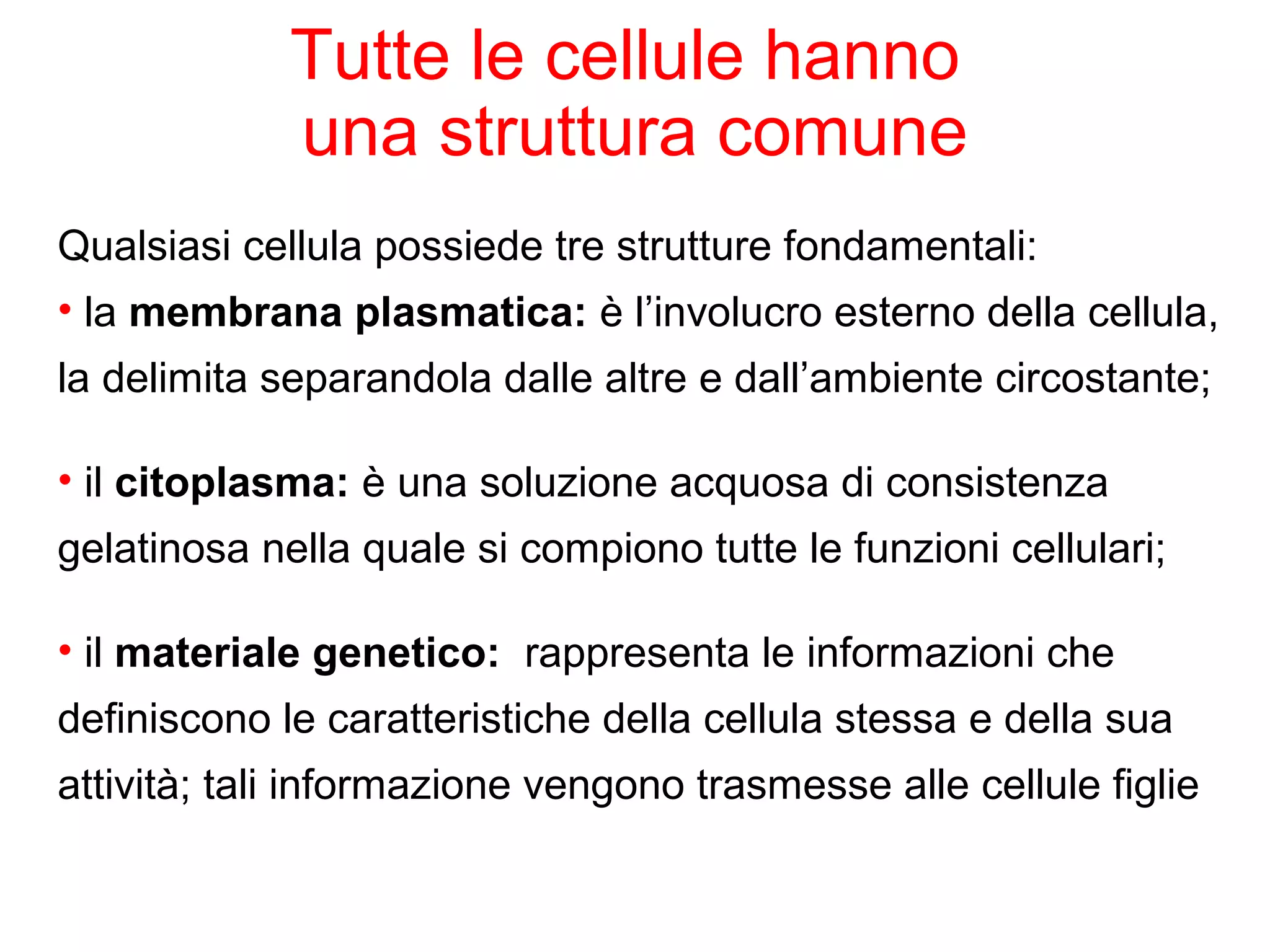 Schemi biologia 3 | PPT