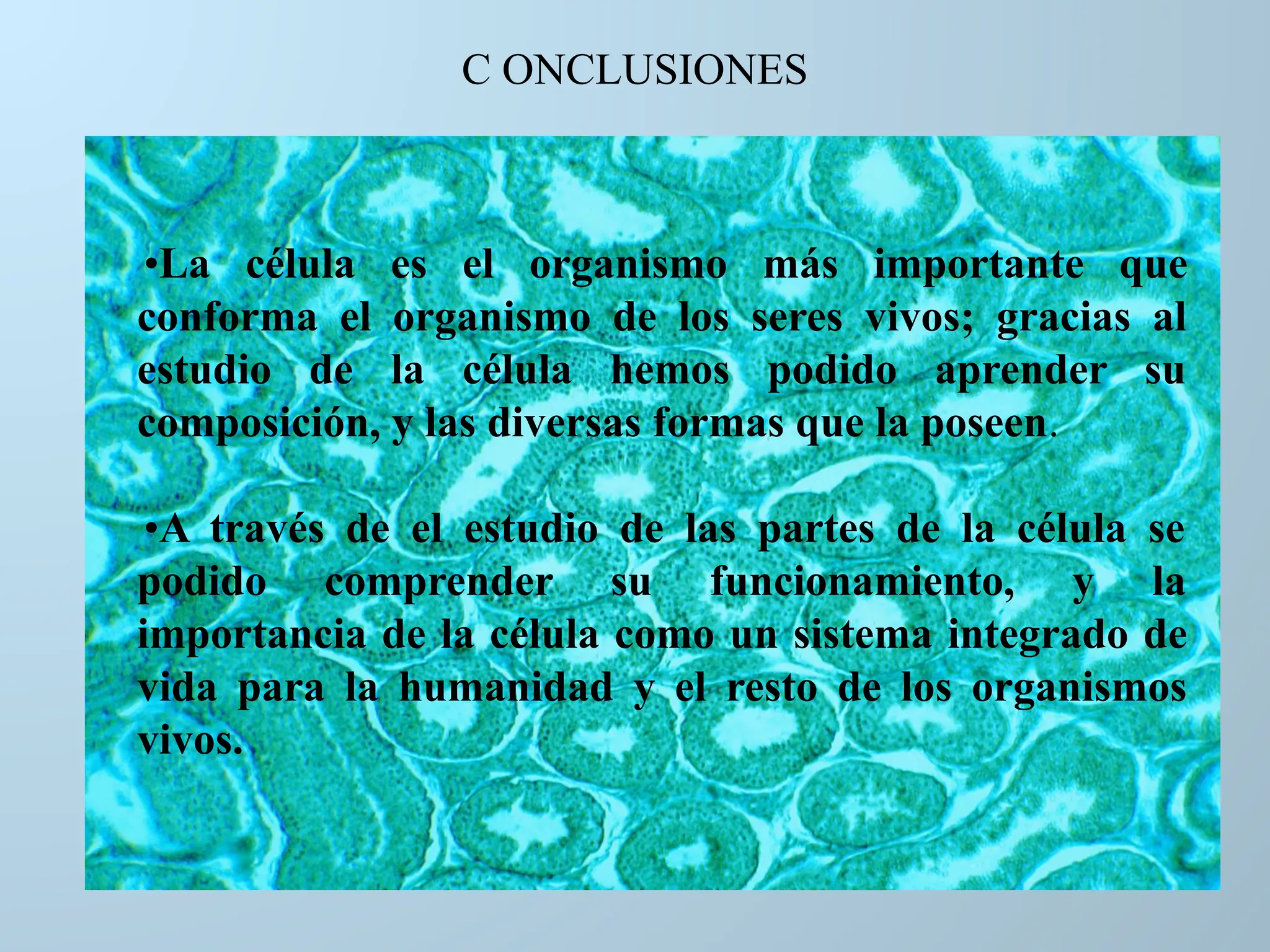 Teoria De La Celula Presentación Sol Camacho Ppt