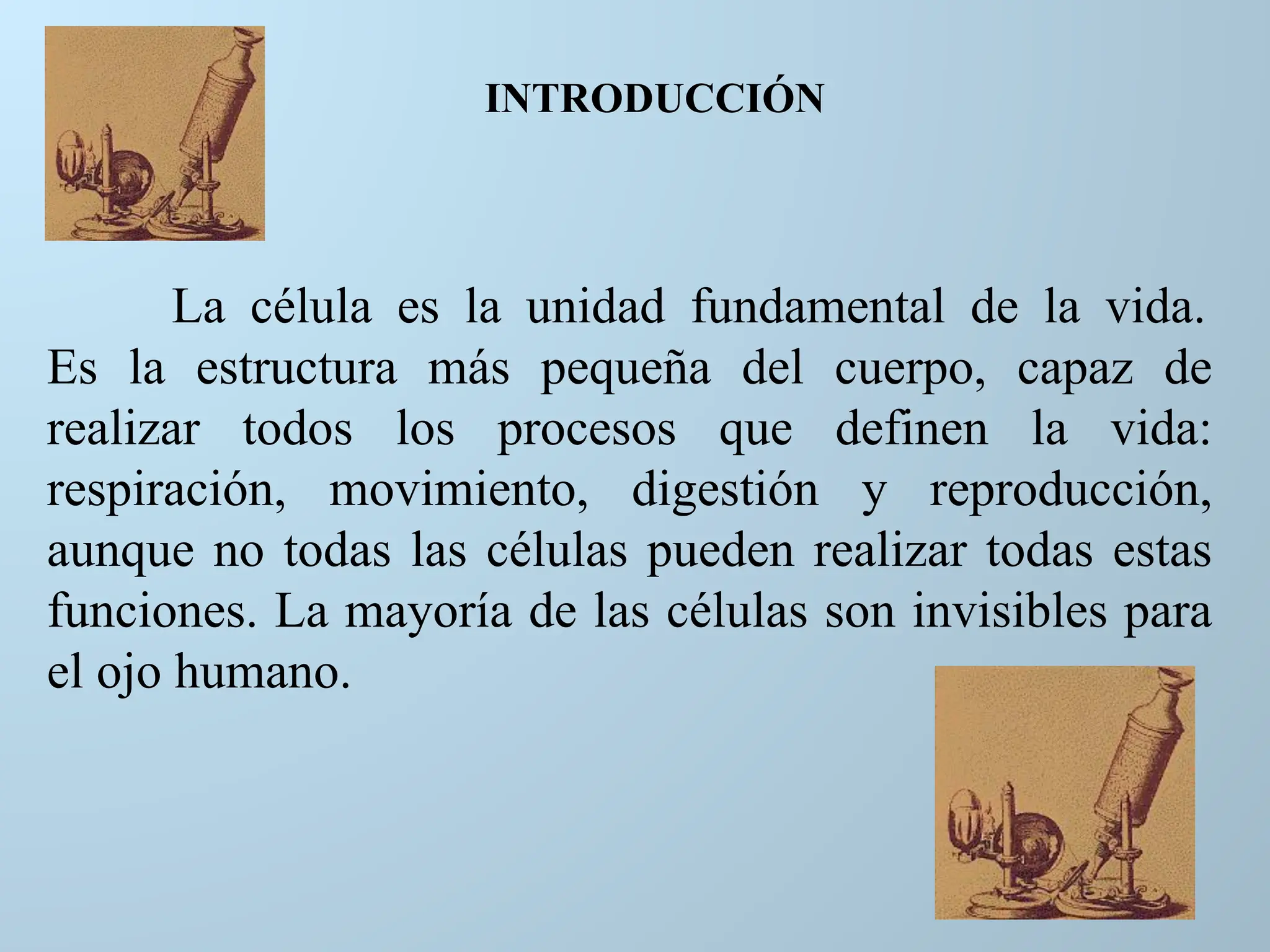 Teoria De La Celula Presentación Sol Camacho Ppt