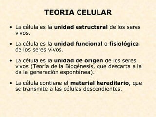 Teoria Celular Y MorfologíA Celular | PPT