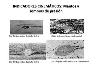 Teoria Clase 6 Geo Pptx